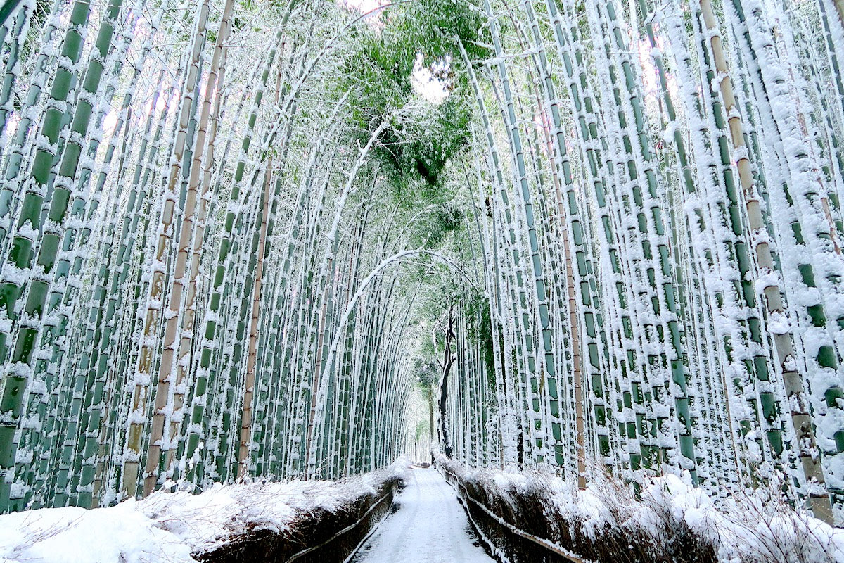 December Kyoto Events: Festivals and Celebrations