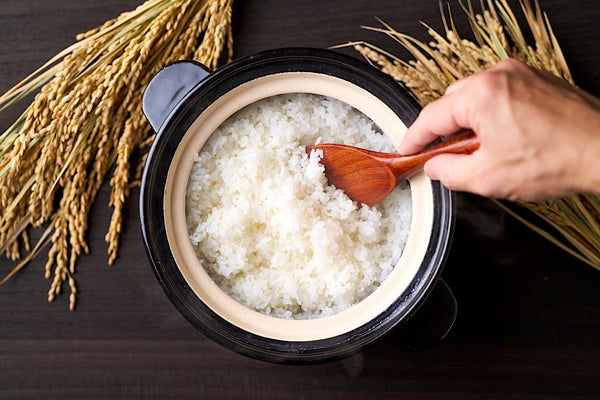 Japanese Rice Dishes from Donburi to Onigiri